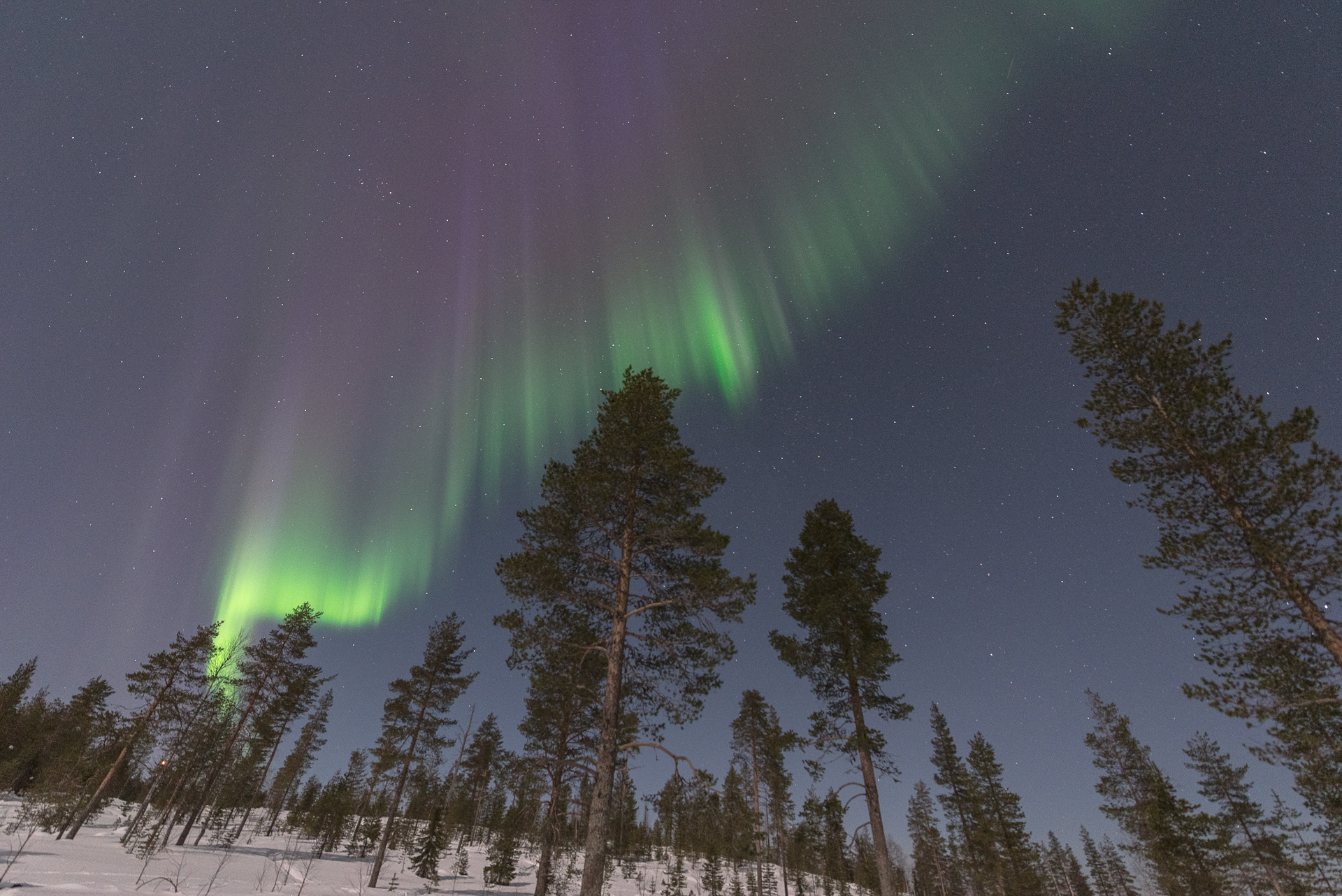 Aurora Alert Realtime | Aurora Borealis Forecast | Finland